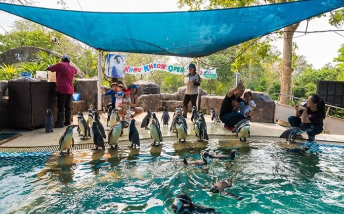 Thailand zoos adapt to a new normal as they reopen today - Pattaya Mail