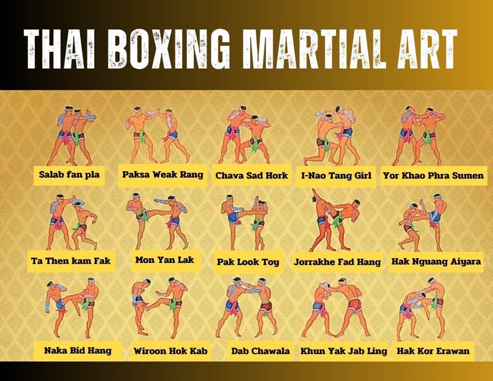 Muay Thai Techniques For Beginners Mastering Muay Thai Sparring: