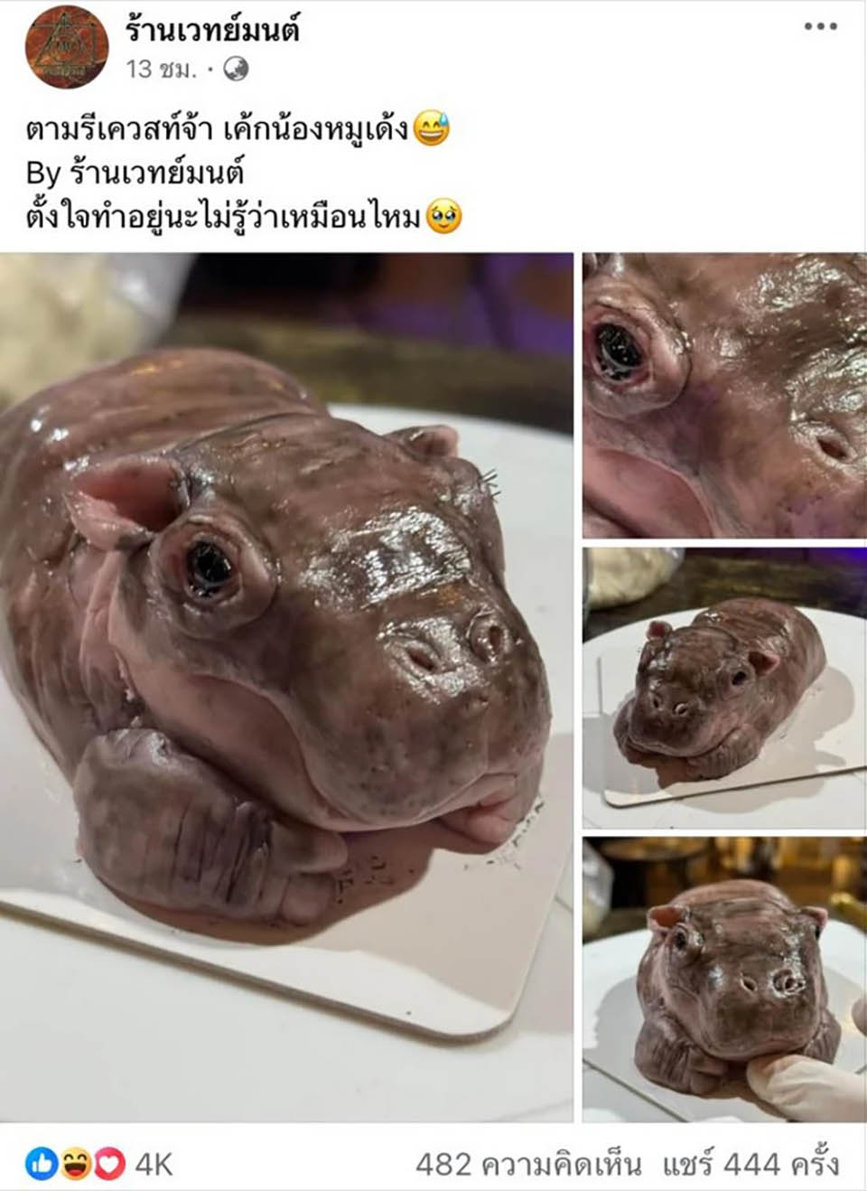 Cake of ‘Moo Deng’ the baby pygmy hippo at Khao Kheow Open Zoo too cute ...