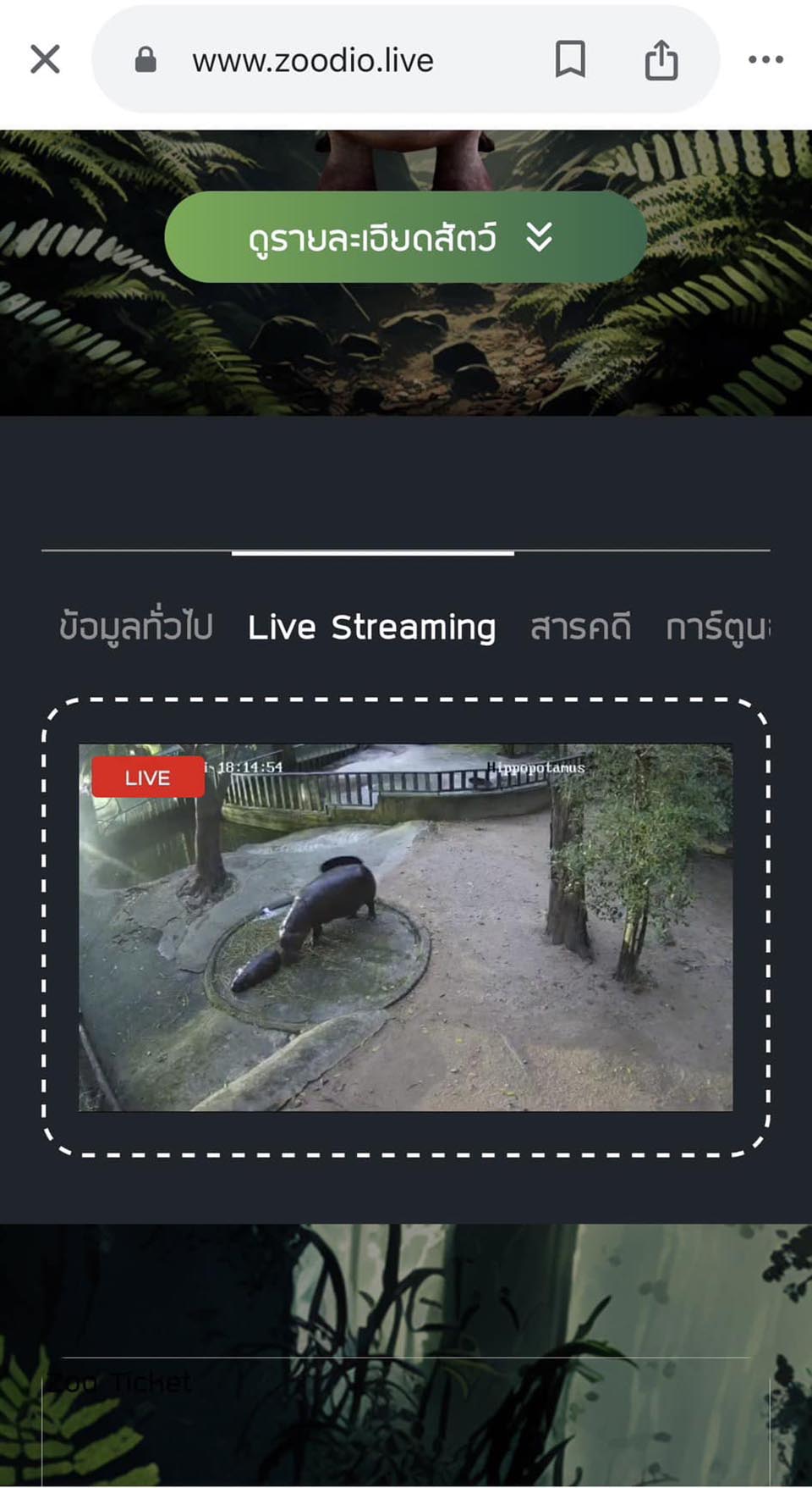 Khao Kheow Open Zoo restores 24-hour ‘Moo Deng’ live camera - Pattaya Mail