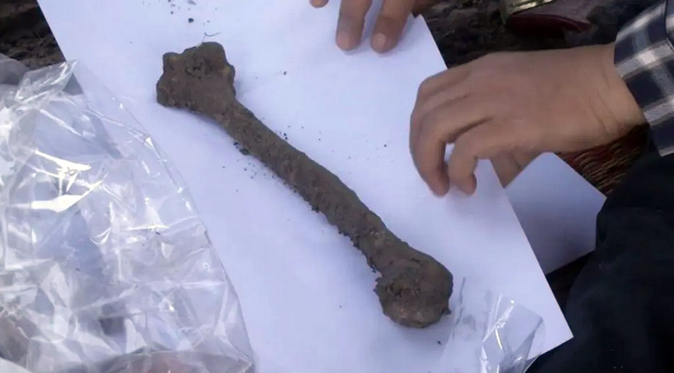 Unearthing History - 2,500-year-old ‘Iron Age’ human skeleton ...