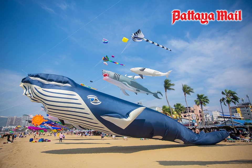 Winds of wonder hit Pattaya Beach with International Kite Festival Feb ...