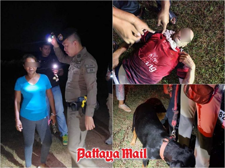 Dog walk dispute in Sattahip ends in Polish tourist stabbing as woman ...