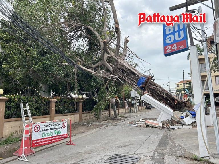 Storm hits Central Pattaya as giant tree and power pole collapse, soi ...