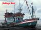 Fishing ban returns to Inner Gulf as Thailand protects marine life ...
