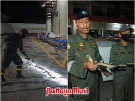 Pattaya resident horrified by cobra display until truth emerges ...